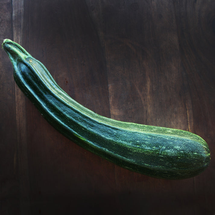 Zucchini Cocozelle – Courgette Seedling – Weathersfield Organics